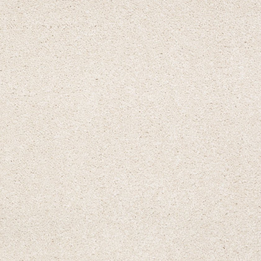 Shaw Floors Timeless Appeal III 15' x 110' Carpet Roll – Luxe Floor Studio